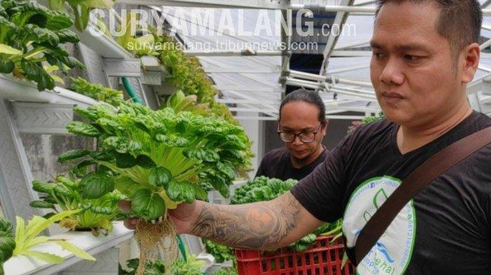 David Raup Omzet Rp 5 Juta/Bulan dari Menanam Sayur Hidroponik di Atap ...
