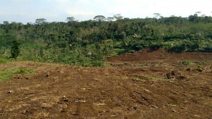 Pembangunan Embung di Kromengan Malang Kuras Dana Rp 23 Miliar ...
