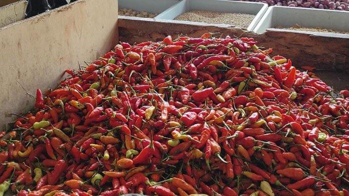 2 Pemuda Curi 1 Kg Cabai di Sawah Blitar, Polisi Selesaikan Melalui Jalur Mediasi - Suryamalang.com