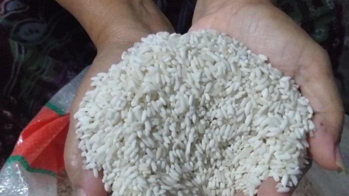 Stok Beras di Bulog Malang Cukup sampai Lebaran - Suryamalang.com