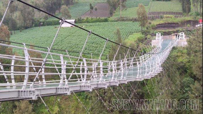 Perbedaan Teknologi Jembatan Kaca di Gunung Bromo dengan The Geong di ...