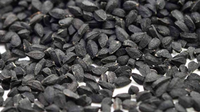 Gak Nyangka, Ternyata Benda Warna Hitam Ini Bisa Sembuhkan Asma ...