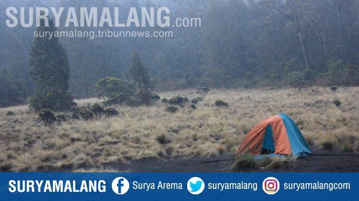 Pendakian Gunung Semeru Resmi Dibuka 1 April 2021, Batas Maksimal ...