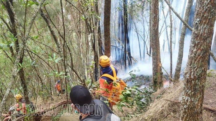 Api di Gunung Arjuna Sisi Kota Batu Padam tapi Ada Bara Api yang Rawan ...