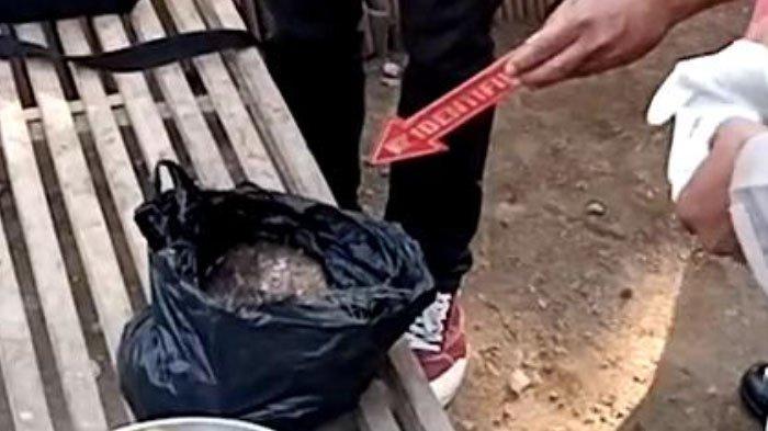 Kronologi 3 Orang Keracunan di Tulungagung, Bermula dari Anak Tak Bisa ...
