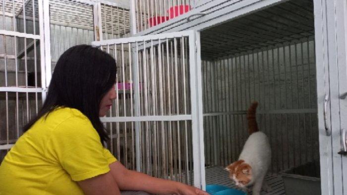 Bermula dari Keluhan Soal Tikus, Kini John Ruby Raup Puluhan Juta ...