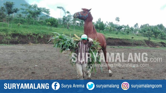 Wisata Megastar di Kota Batu Sepi Pengunjung, Begini Kiat untuk ...