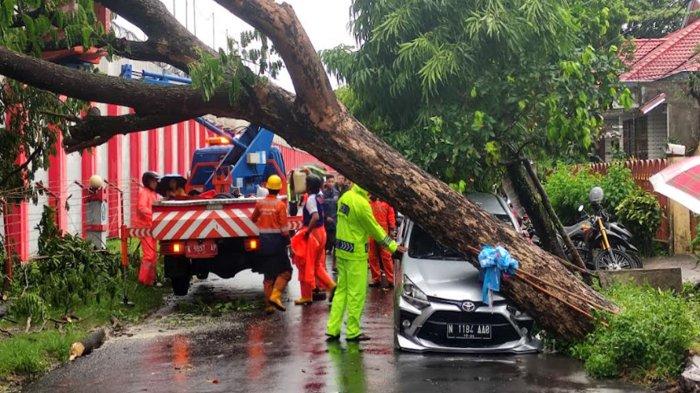 BREAKING NEWS Mobil Tertimpa Pohon di Jalan Indragiri Kota Malang Saat Hujan Deras - Suryamalang.com
