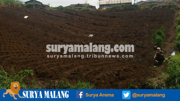 Universitas Brawijaya Malang Siap Bangun Road Map Pertanian Nasional, Begini Tahapannya ...