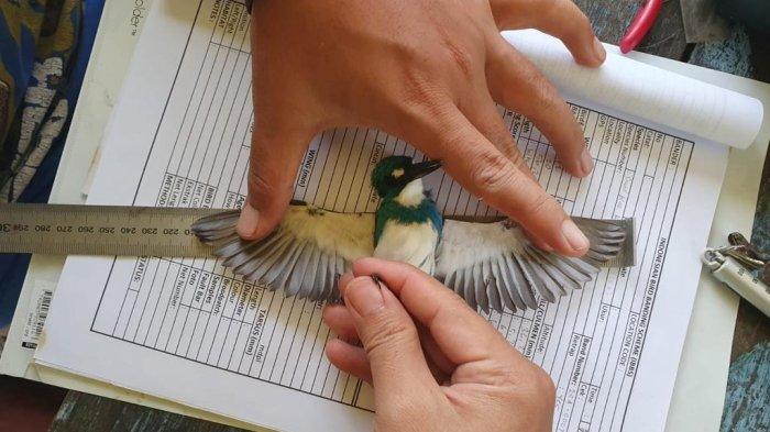 BKSDA Apresiasi Hasil CSR PHE WMO di Taman Wisata Labuhan - Suryamalang.com