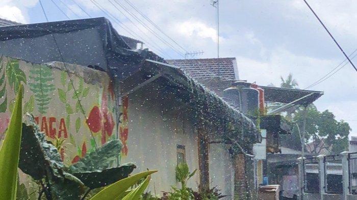 Waspada Hujan Disertai Petir dan Angin Kencang di Wilayah Jawa Timur, Termasuk Kota Batu ...