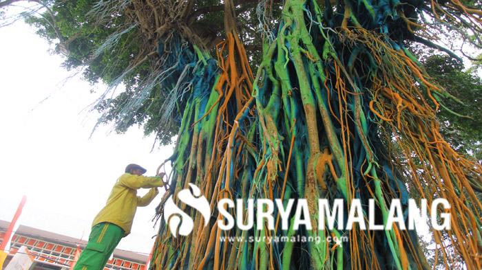 Abah Anton Murka Tahu Pohon Beringin Alun-Alun Dicat Warna-Warni ...
