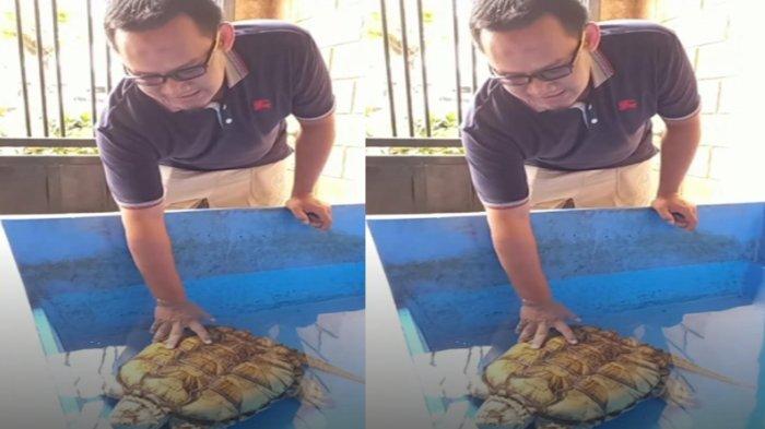 Potret Robby Setyo Anggoro, Kura-Kura Bikin Hati Senang - Suryamalang.com