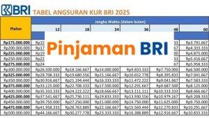 TABEL ANGSURAN KUR BRI April 2025, Brosur Lengkap Pinjaman Rp 1 Juta ...