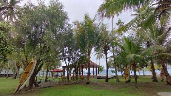 Hamparan Pohon Kelapa Dan Debur Ombak Pantai, Sambut Pagi Di Pondok ...