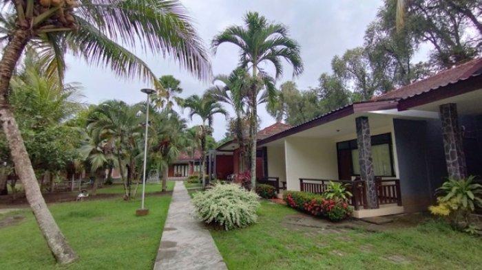 Hamparan Pohon Kelapa Dan Debur Ombak Pantai, Sambut Pagi Di Pondok ...