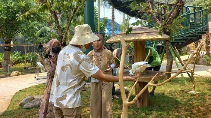 Jakarta Bird Land di Taman Impian Jaya Ancol Hadirkan Kicauan Beragam ...