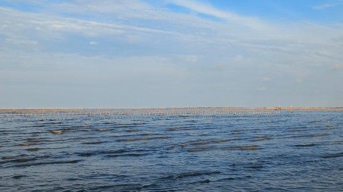 Misteri Pagar Laut 30 Km di Tangerang Tak Berizin: KKP Selidiki Pemilik dan Tujuan Dibuat ...