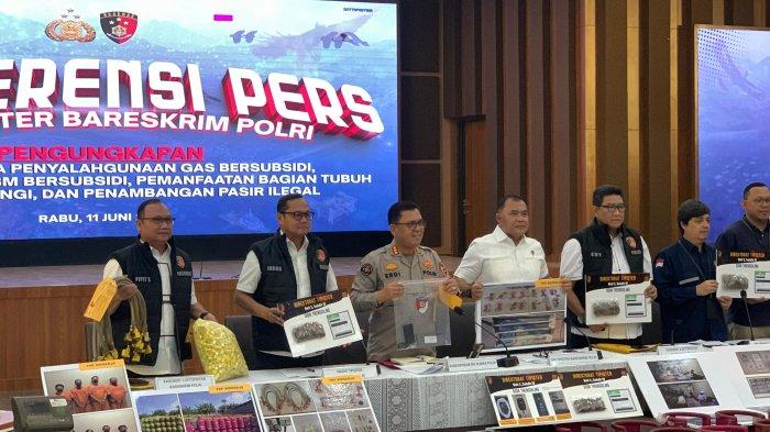 Bareskrim Gagalkan Perdagangan Sisik Tenggiling di Garut Jabar, Nilai ...