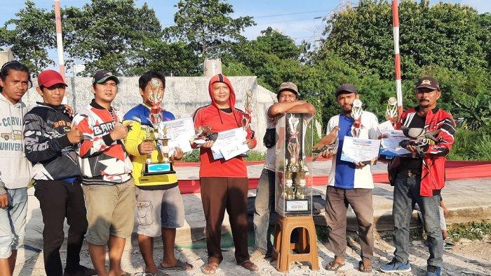 Lomba Merpati Kolong Kian Digandrungi para Pecinta Burung Merpati di ...