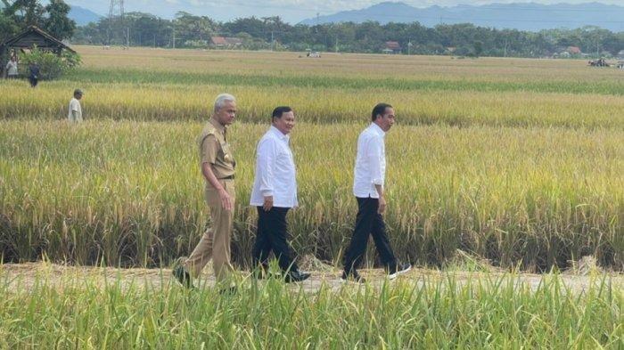Loyalis Ganjar dan Prabowo Saling Klaim Capres yang Dibutuhkan Indonesia Versi Jokowi ...