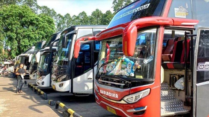 Penumpang Bus Pilih Naik dari Loket Pinggir Jalan Ketimbang dari ...