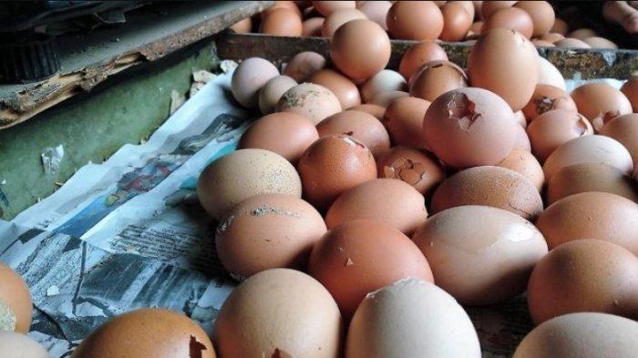Harga Telur di Serang Tembus Rp 30.000 per Kg, Telur Retak Lebih Murah ...