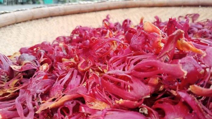 Harga Rempah Ternate: Fuli Pala Dibeli Masih dengan Harga Tinggi ...