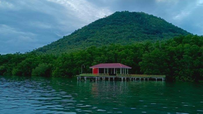 Wisata Mangrove di Maitara Tidore Maluku Utara Tempat yang Cocok ...