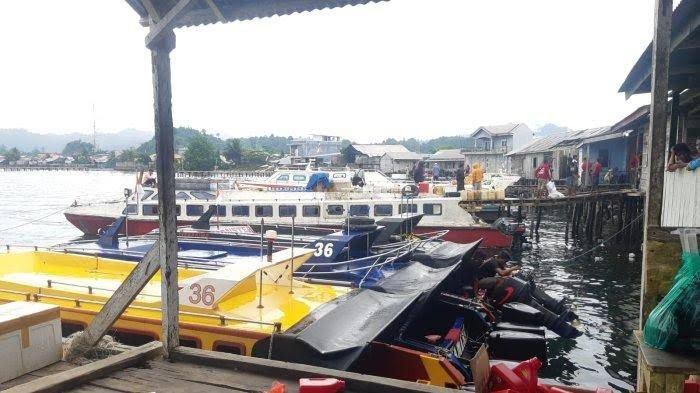 Mudik Lebaran Idul Adha di Halmahera Selatan, Lonjakan Penumpang ...