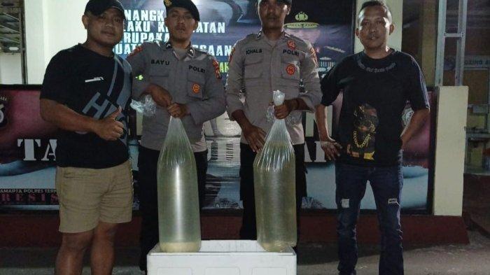 Satsabhara Polres Ternate Sita Puluhan Liter Cap Tikus Siap Edar - Tribunternate.com