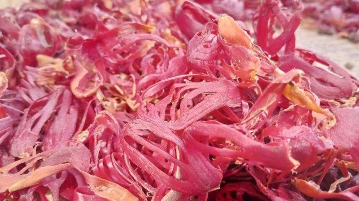 Harga Rempah Ternate Hari Ini, 13 September 2022: Fuli Lebih Mahal ...