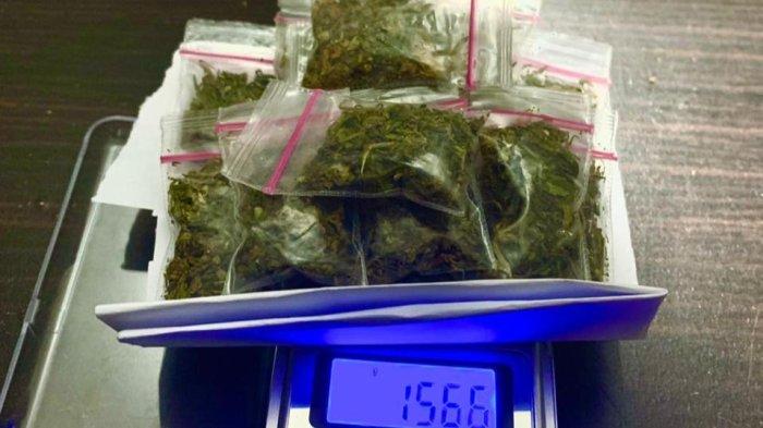 Seorang Pria di Ternate Ditangkap Polisi Saat Hendak Bertransaksi Narkoba - Tribunternate.com