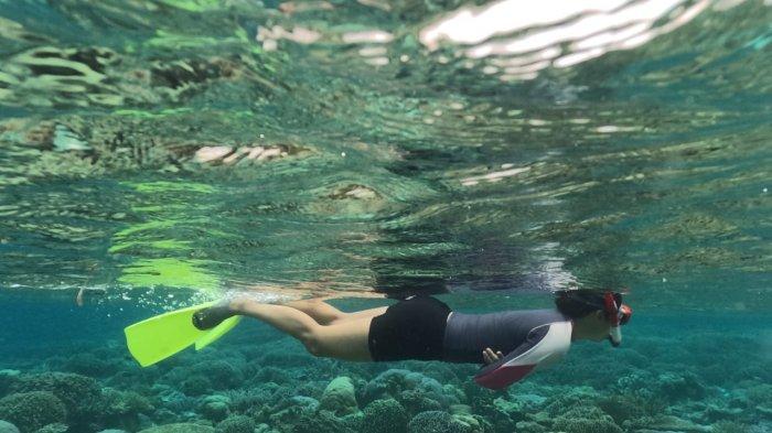 WCS Internasional Kagumi Keindahan Bawah Laut Desa Posi-Posi Rao ...