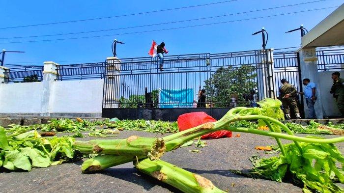 Aksi Lanjutan, Gerakan Aksi Mahasiwa Morotai Morotai Maluku Utara ...