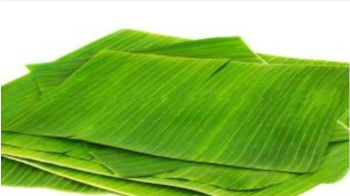 Tak Hanya untuk Masak, Daun Pisang Ternyata Bisa Digunakan dalam ...