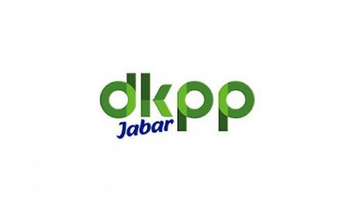 Lowongan Kerja DKPP Jawa Barat, Posisi Product Manager dan Programer ...