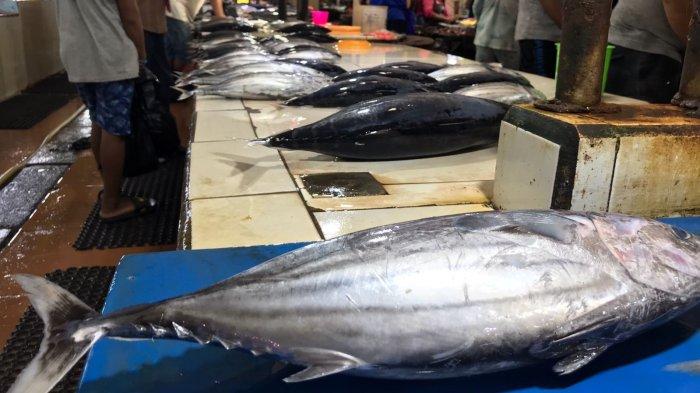 Daftar Harga Ikan Cakalang Terkini di Pasar Gamalama Ternate Kamis, 28 ...