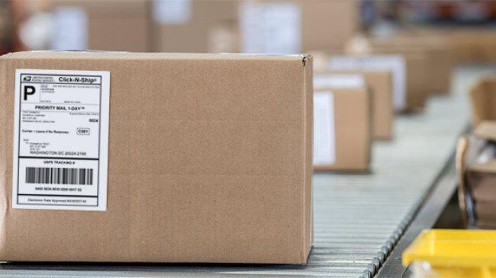 Paket Organ Manusia Diduga Dikirim untuk Desainer Indonesia, Polri ...