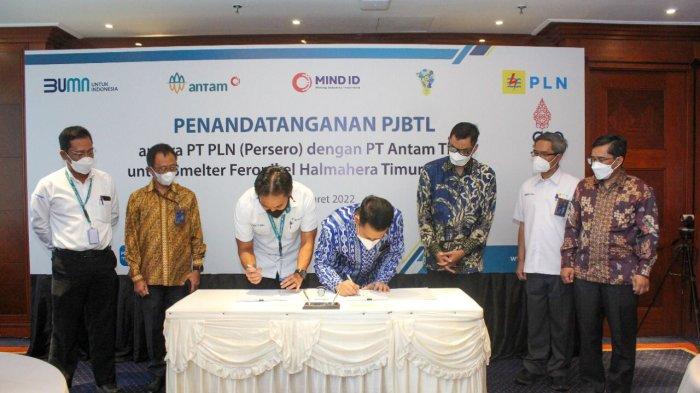 PLN Pasok Listrik 80 MVA Untuk Dukung Operasi Smelter Antam di ...