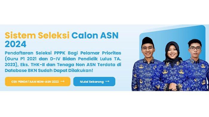 Tahap Selanjutnya Setelah Dinyatakan Lulus Seleksi PPPK 2024, Cara Isi DRH NI - Tribunternate.com