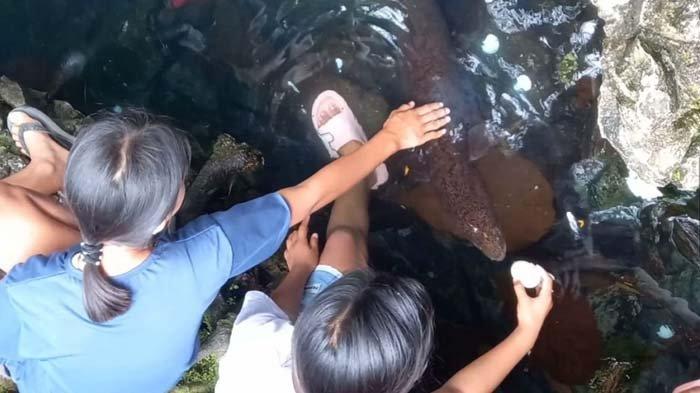 Kolam Purba Tilangnga Toraja, Sarat Mitos di Balik Kesegaran Airnya ...