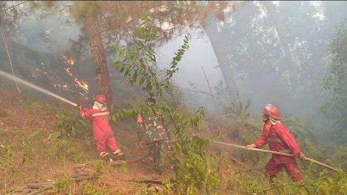 Selain di Gandasil, Hutan di Mengkendek Tana Toraja juga Terbakar Tadi ...