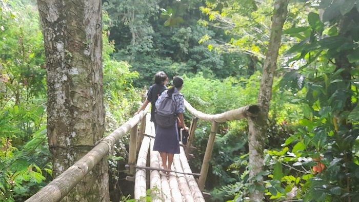 Pelajar di Sangalla Tana Toraja Rela Jalan Kaki 2-3 KM Ke Bersekolah, Lewati Sungai dan Jalan ...