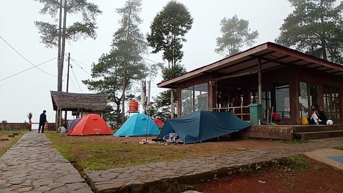 Hutan Pinus Pango-Pango Rekomendasi Wisata Asyik Sambil Berkemah di ...