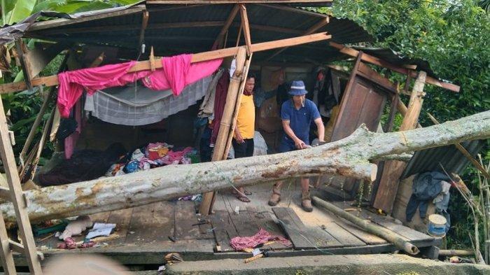 Pergi Melayat, Rumah Joni Bunga di Malimbong Balepe Toraja Hancur ...