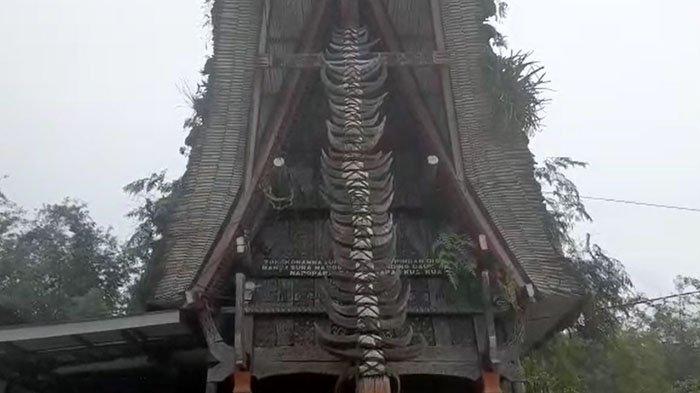 Tanduk Kerbau di Depan Rumah Adat Tongkonan, Ini Maknanya ...
