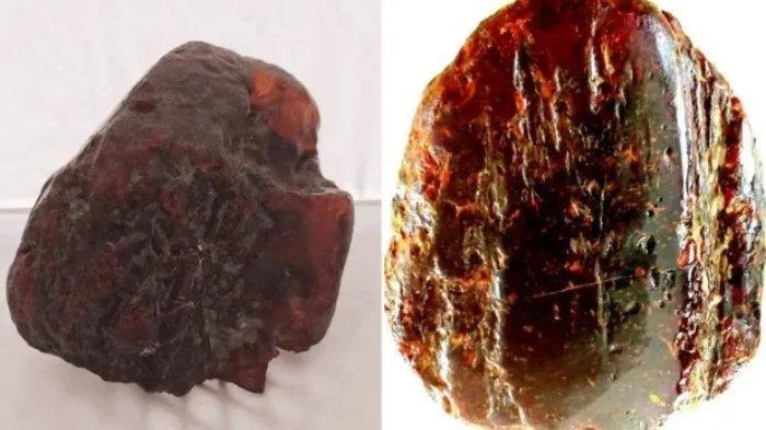 Puluhan Tahun Nenek Ini Jadikan Batu Rp17 Miliar sebagai Pengganjal ...