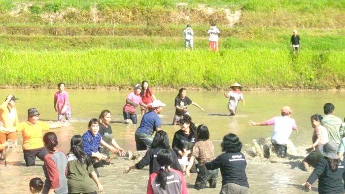 Berlangsung Sampai 30 Desember, Catat Agenda Lovely Desember 2022 ...