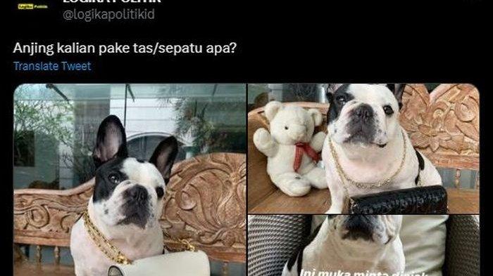 Sosok Ernie Meike Torondek, Ibu Mario Dandy yang Disorot karena ...